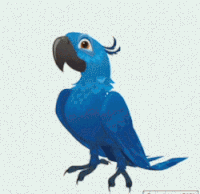 Rio GIFs - Get the best gif on GIFER