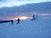 Snowfall GIFs - Get the best gif on GIFER