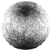 Champs GIFs - Get the best gif on GIFER