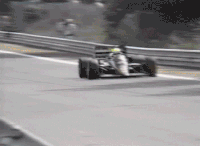 Formula1 GIFs - Get the best gif on GIFER
