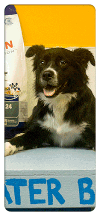 Cuidado GIFs - Get the best gif on GIFER