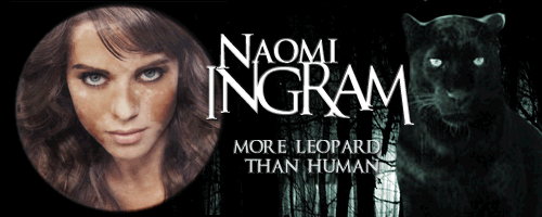 Wereleopard GIFs - Get the best gif on GIFER