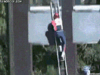 Ladders GIFs - Get the best gif on GIFER