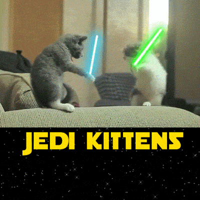 Jedi kittens GIF - Conseguir o melhor gif em GIFER