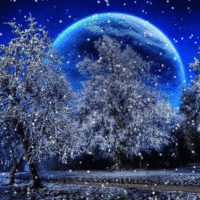 Variable GIFs - Get the best gif on GIFER