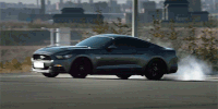 Mustang GIFs - Get the best gif on GIFER