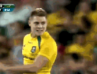 Wallabies GIFs - Get the best gif on GIFER