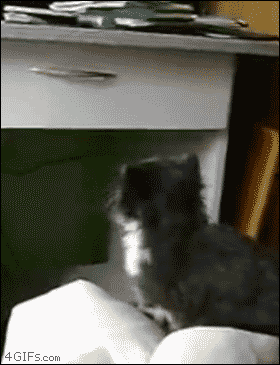 Limitations GIFs - Get the best gif on GIFER