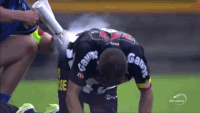 Spray GIFs - Get the best gif on GIFER