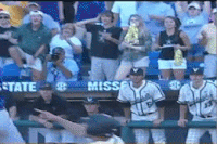 Lsu GIFs - Get the best gif on GIFER
