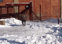 Calves GIFs - Get the best gif on GIFER