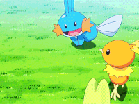 Mudkip GIFs - Get the best gif on GIFER