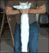 Pendulum GIFs - Get the best gif on GIFER