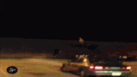 Smashed GIFs - Get the best gif on GIFER
