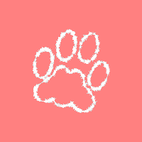Paw GIFs - Get the best gif on GIFER