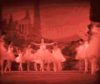 Pas GIFs - Get the best gif on GIFER