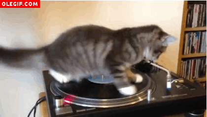 Audifonos GIF - Conseguir el mejor gif en GIFER