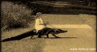 1925 GIFs - Get the best gif on GIFER