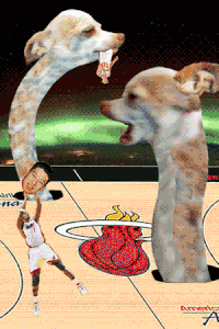 Busca GIF - Conseguir el mejor gif en GIFER