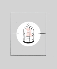 Cages GIFs - Get the best gif on GIFER