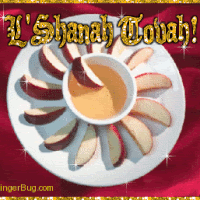 Bucket GIFs - Get the best gif on GIFER