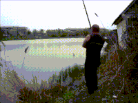 Sneaky GIFs - Get the best gif on GIFER