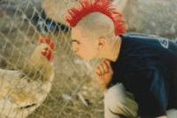Mohawk GIFs - Get the best gif on GIFER