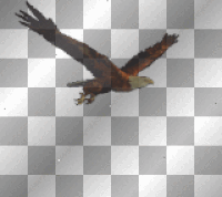 Amazon GIFs - Get the best gif on GIFER