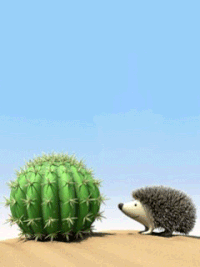 Cactus GIFs - Get the best gif on GIFER