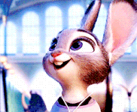 Judy GIFs - Get the best gif on GIFER