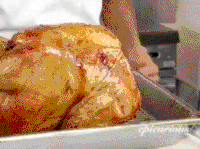 Outback GIFs - Get the best gif on GIFER