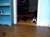 Anesthesia GIFs - Get the best gif on GIFER