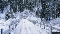 Chilly GIFs - Get the best gif on GIFER