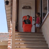 Harm GIFs - Get the best gif on GIFER