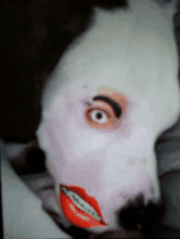 Soooo GIFs - Get the best gif on GIFER