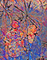 Stereoscopic GIFs - Get the best gif on GIFER