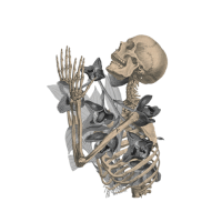 Anatomy GIFs - Get the best gif on GIFER