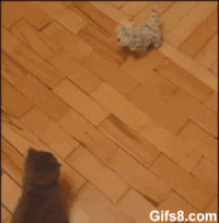 Dropkick GIFs - Get the best gif on GIFER