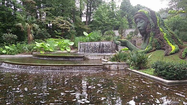 Botanical GIFs - Get the best gif on GIFER