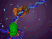 Dna GIFs - Get the best gif on GIFER