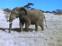 Documentaries GIFs - Get the best gif on GIFER