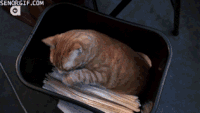 Useful GIFs - Get the best gif on GIFER