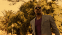 Chestnut GIFs - Get the best gif on GIFER