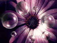 Bulles GIFs - Obtenez le meilleur gif sur GIFER