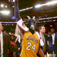 Kobe bryant GIFs - Get the best gif on GIFER