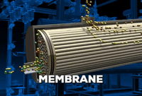 Membrane GIFs - Get the best gif on GIFER