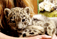 Zoos GIFs - Get the best gif on GIFER