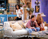 Awh GIFs - Get the best gif on GIFER
