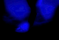 Blu GIFs - Get the best gif on GIFER