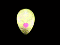 Mint GIFs - Get the best gif on GIFER